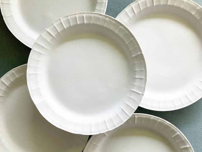 Porcelain Paper Plates SET of 4