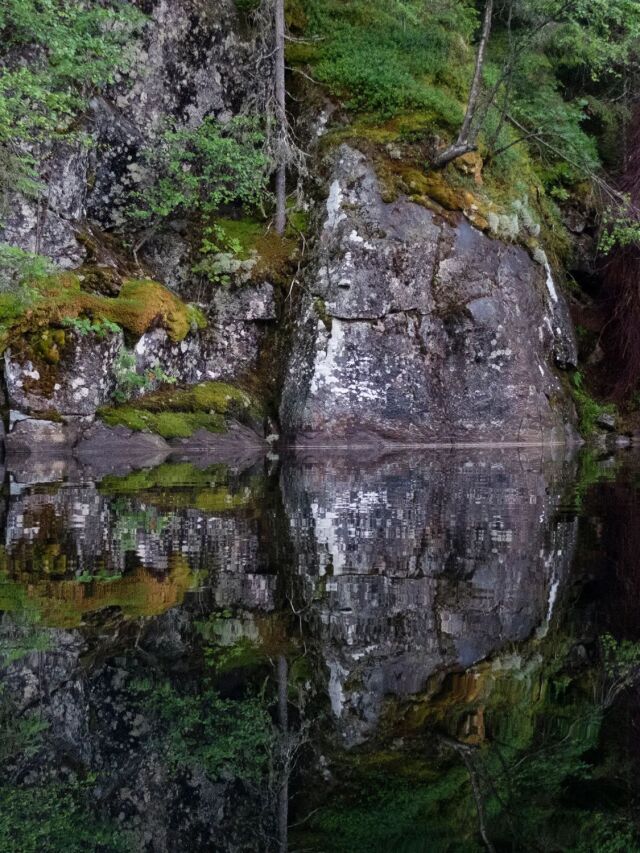 The Hideout: An Architect-Designed Off-Grid Lakeside Hut in Southern ...