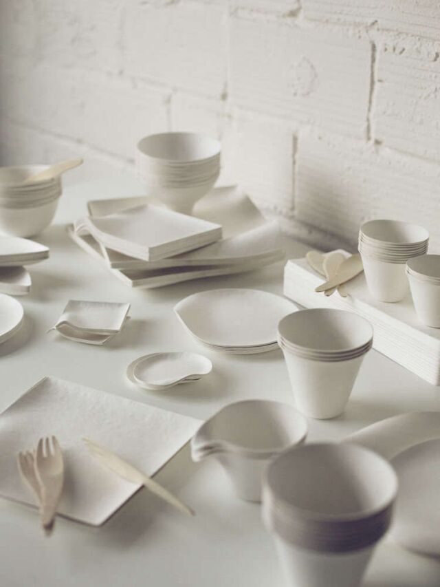 5 Favorite Sources for Design-Forward, Eco-Friendly, Disposable ...