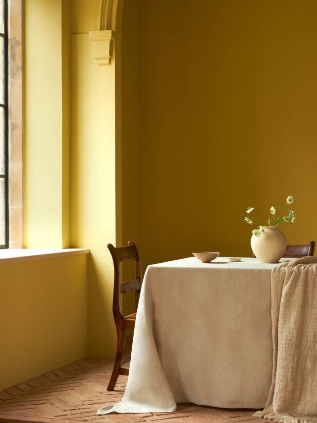 Olive Stone Emulsion - An Innovative Plant-Based Paint From Mylands in ...