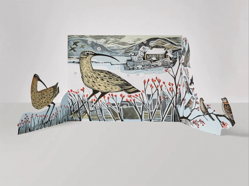 Angela Harding Curlew Christmas Advent Calendar