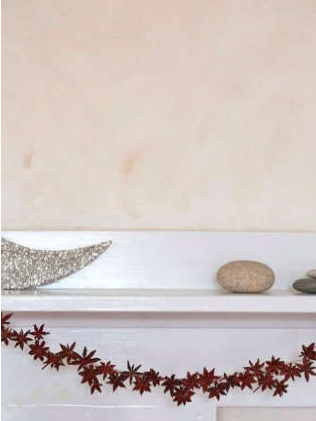 Last-Minute DIY: Holiday Garlands Made of Star Anise - Remodelista Web ...