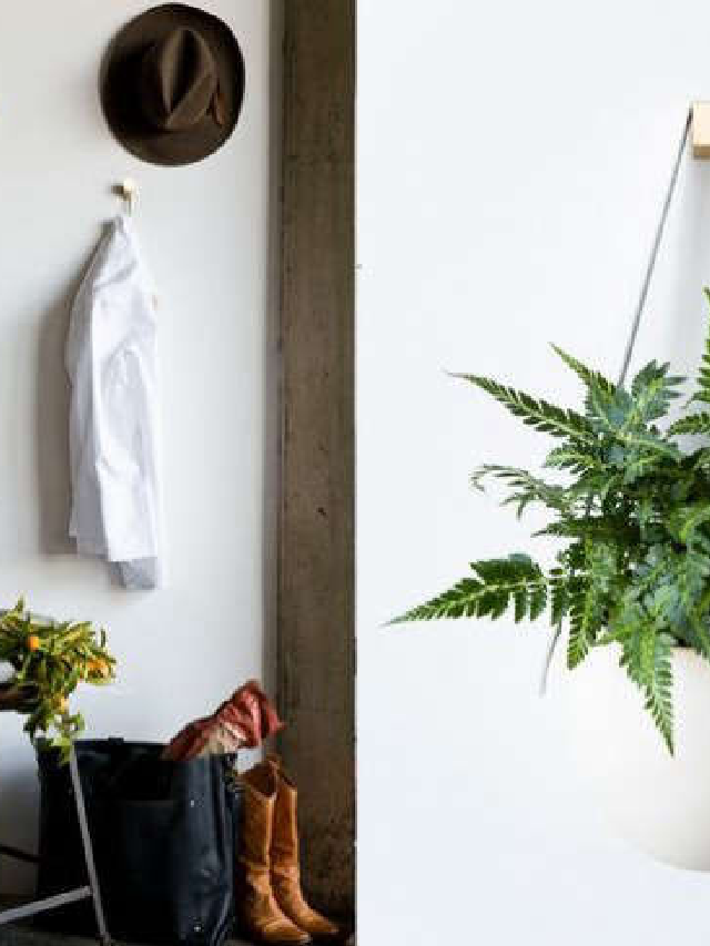 Stylish Storage Solutions from a Brooklyn Designer - Remodelista Web ...