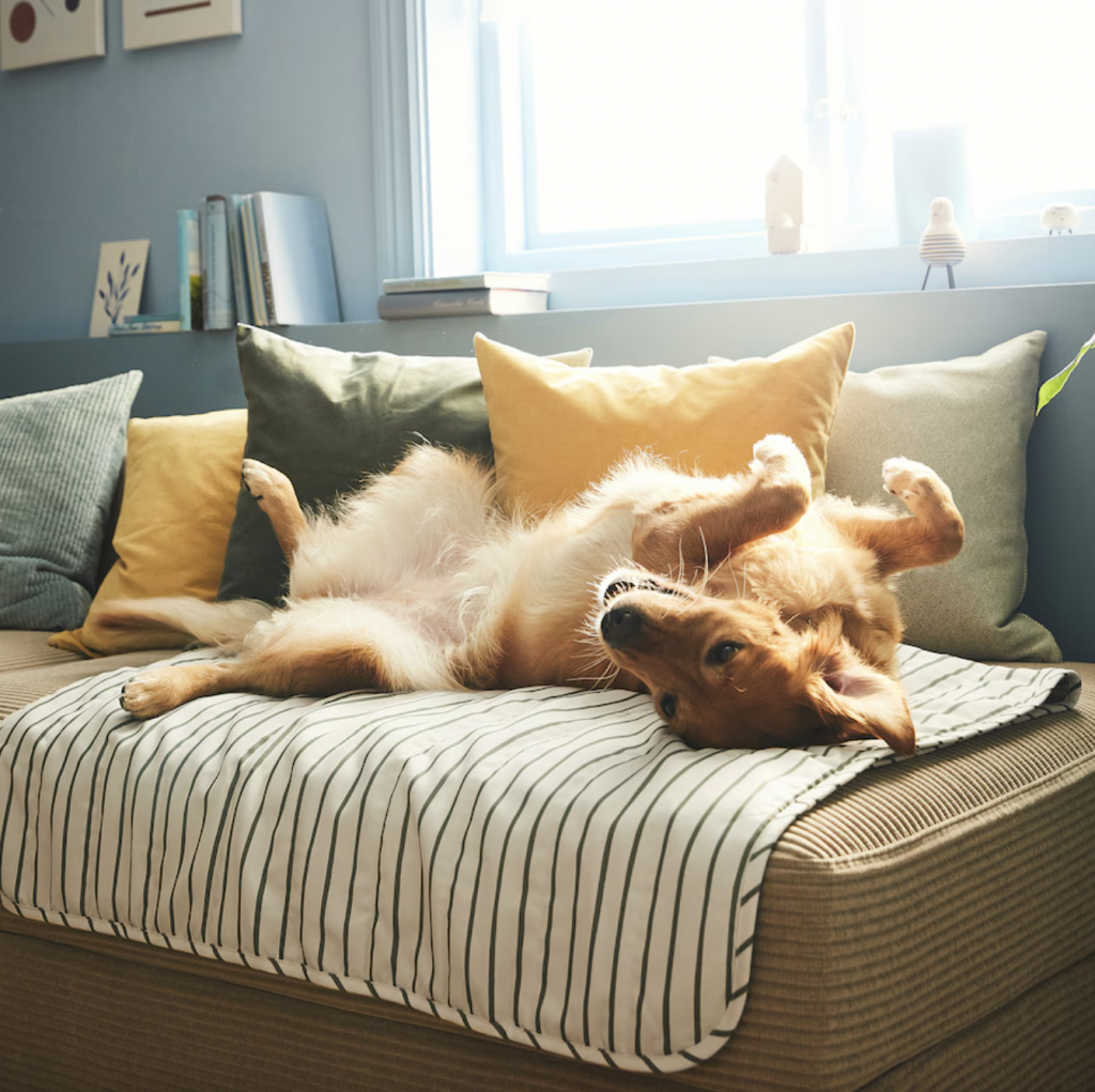 This Just In: Ikea for the Pet Set - Remodelista
