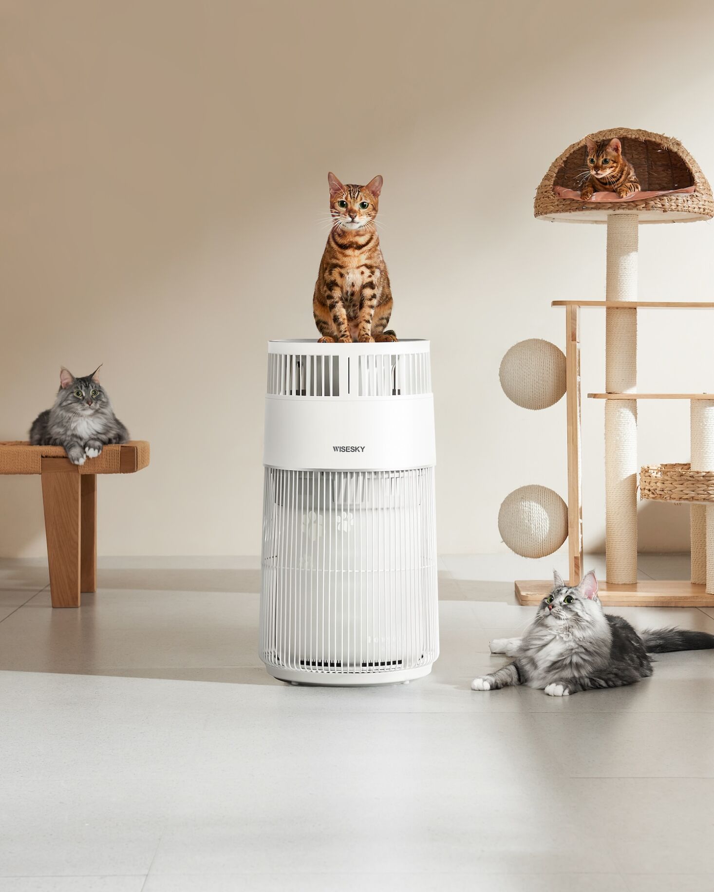 Clean Air for All: The "Meow Buddy" Air Purifier, Plus a Discount for ...
