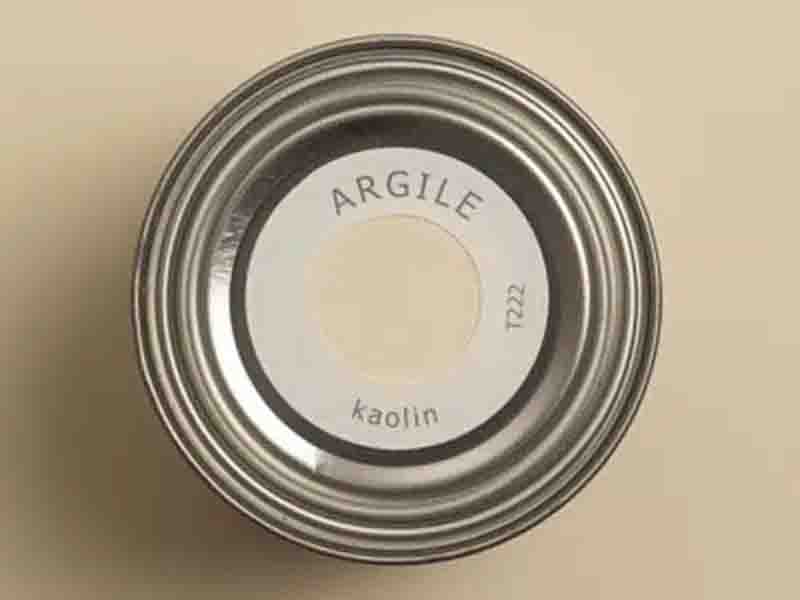 Kaolin Paint Color